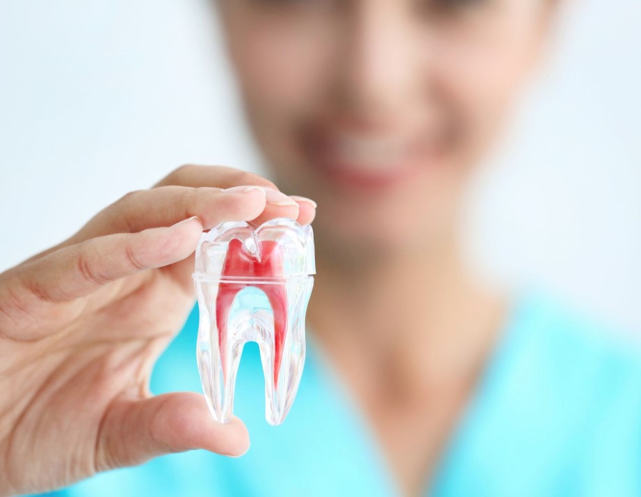 Root Canal Treatment: Everything You Need to Know About It
